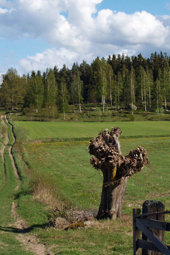 Hemslöjdsguiden » Lind