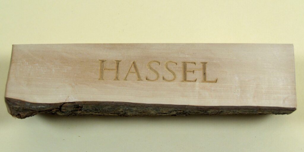Hemslöjdsguiden » Hassel