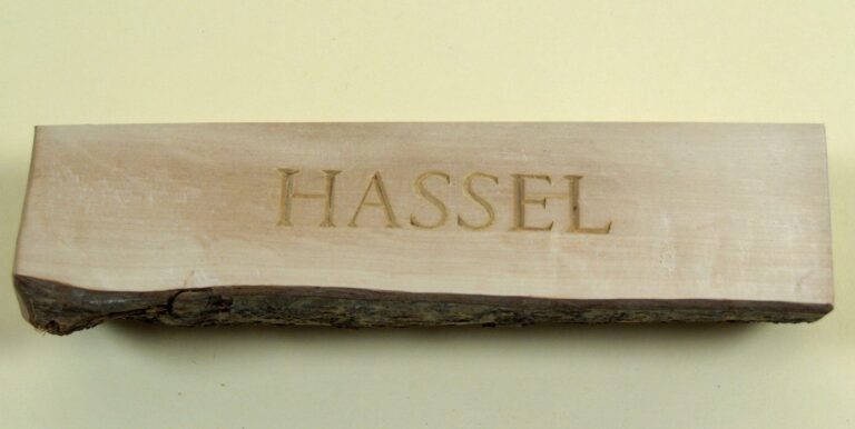 Hemslöjdsguiden » Hassel